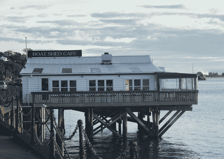 Day Delight Excursions Nelson/Kaikoura